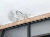 Maintenance and Inspection Waterproofing Membranes - Waterproofing